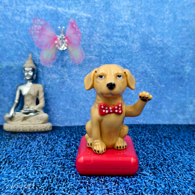 Solar Dog – WOW GIFT